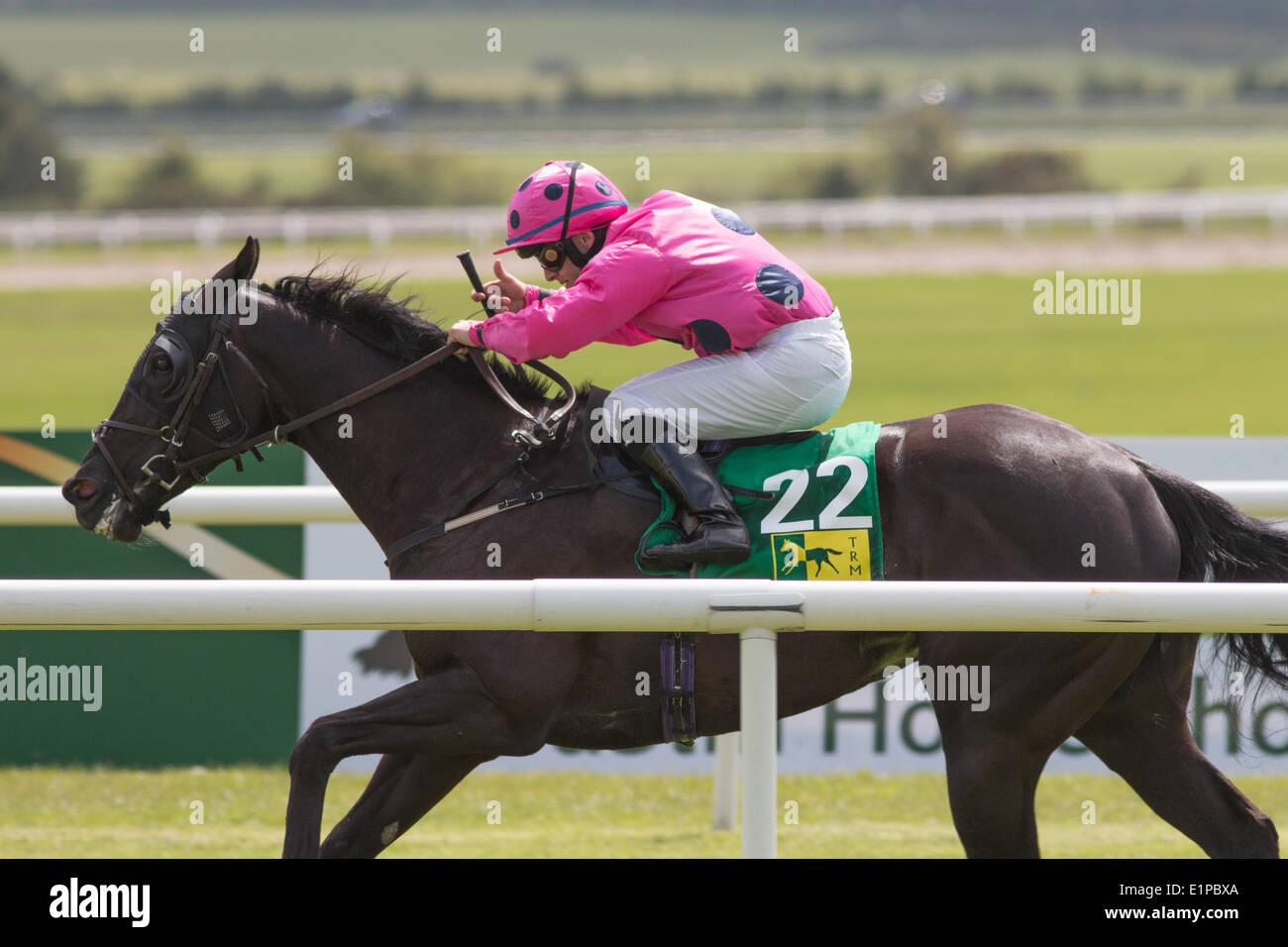 Big Bad Lily and Wayne Lordan winning The TRI Equestrian Superstore And ...