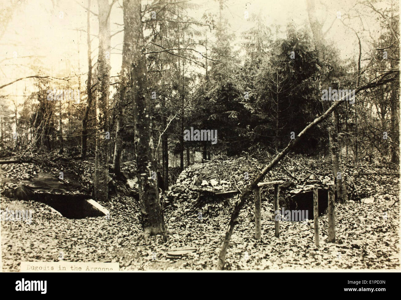Trench warfare ww1 hi-res stock photography and images - Alamy