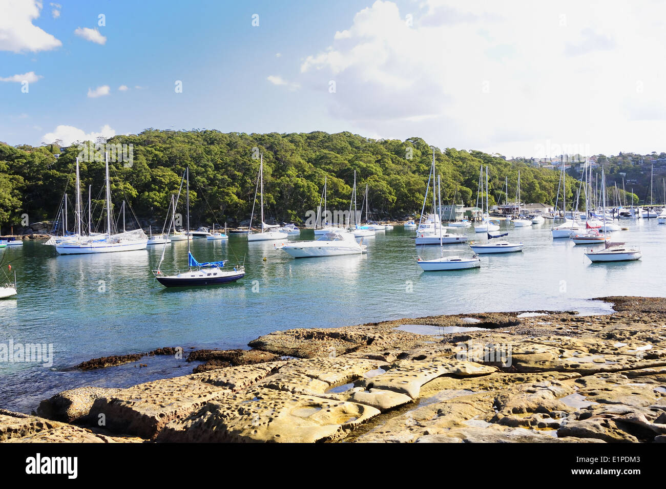 North Harbour, Manly, Sydney Stock Photo - Alamy
