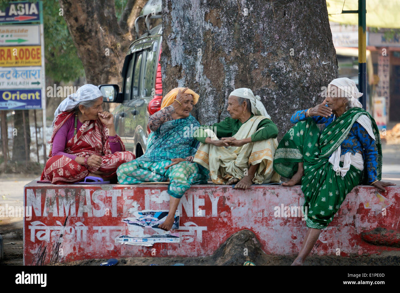 Old ladies having discussion under big tree Stock Photo - Alamy