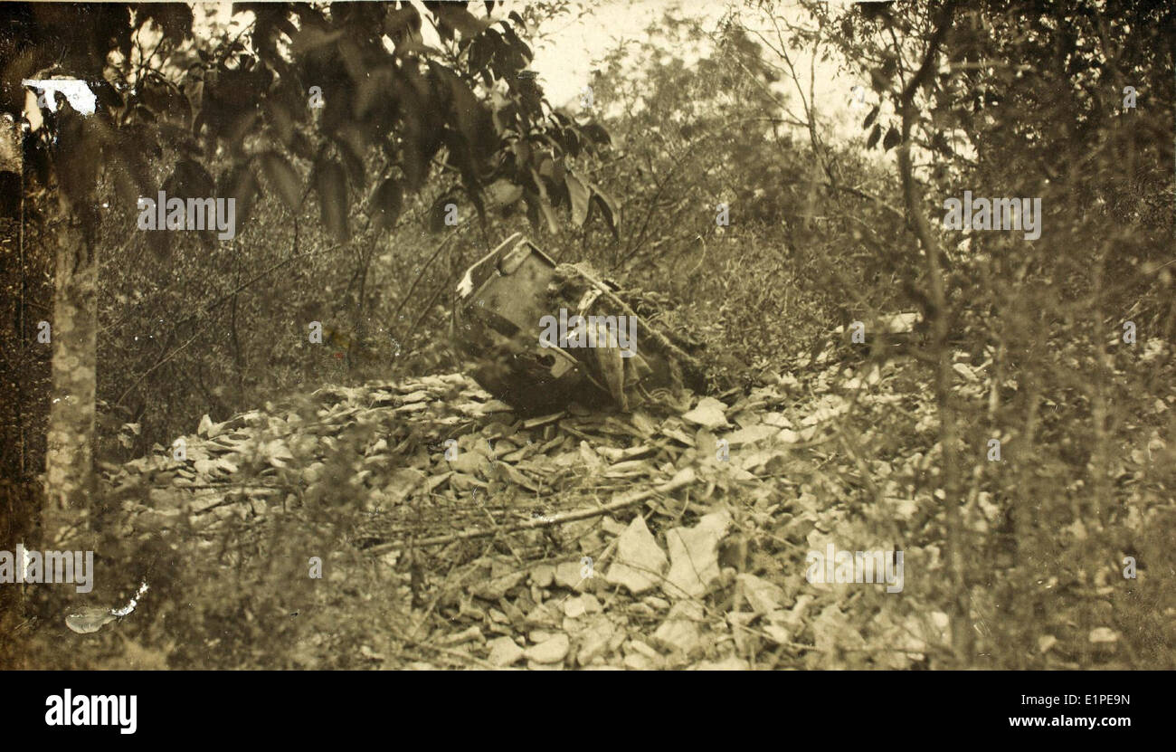 This photograph documents an aircraft crash during World War I ...
