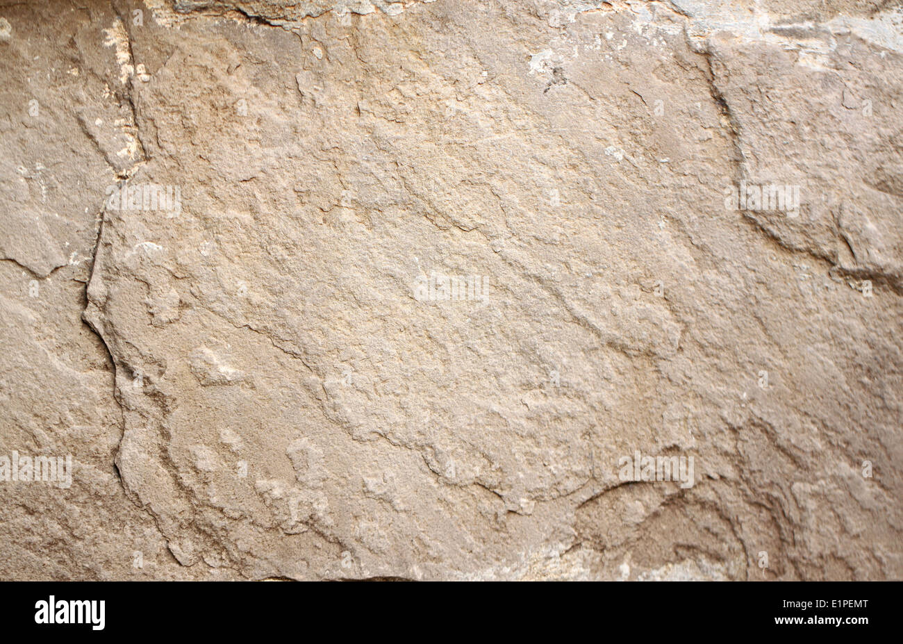 Surface of sandstone for the background Stock Photo - Alamy