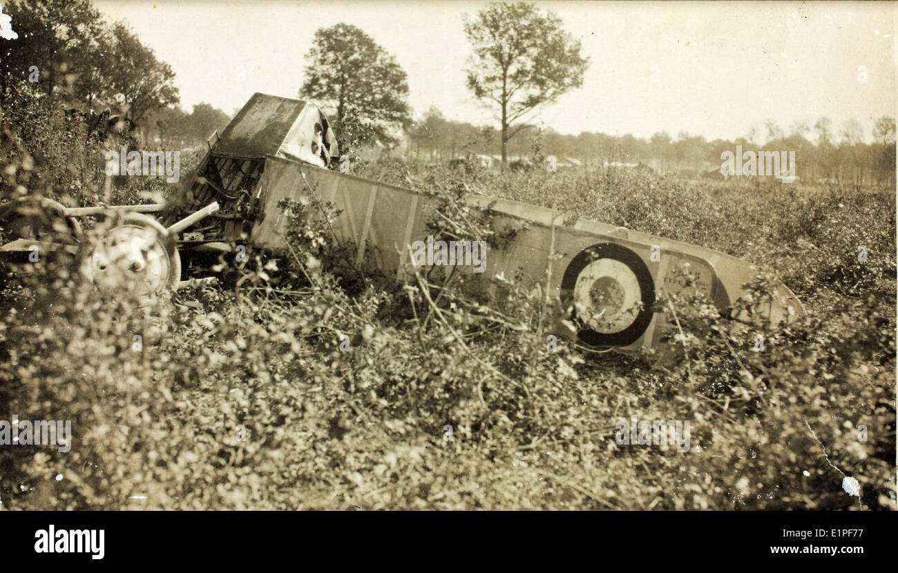 This image depicts the crash of a World War I aircraft, the Type 24 ...