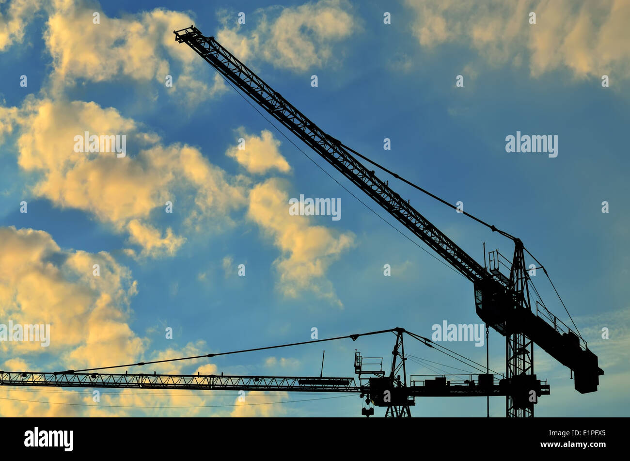 Silhouettes of cranes on the background of the rays of the Sun Stock ...