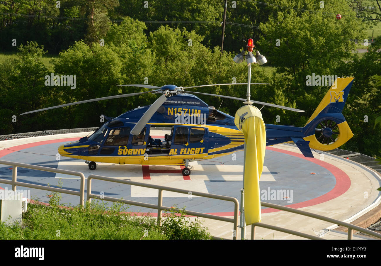 ANN ARBOR, MI - JUNE 3: One of the University of Michigan's Survival ...