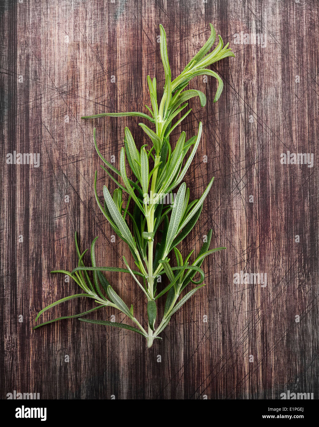 Healthy rosemary branch hi-res stock photography and images - Alamy