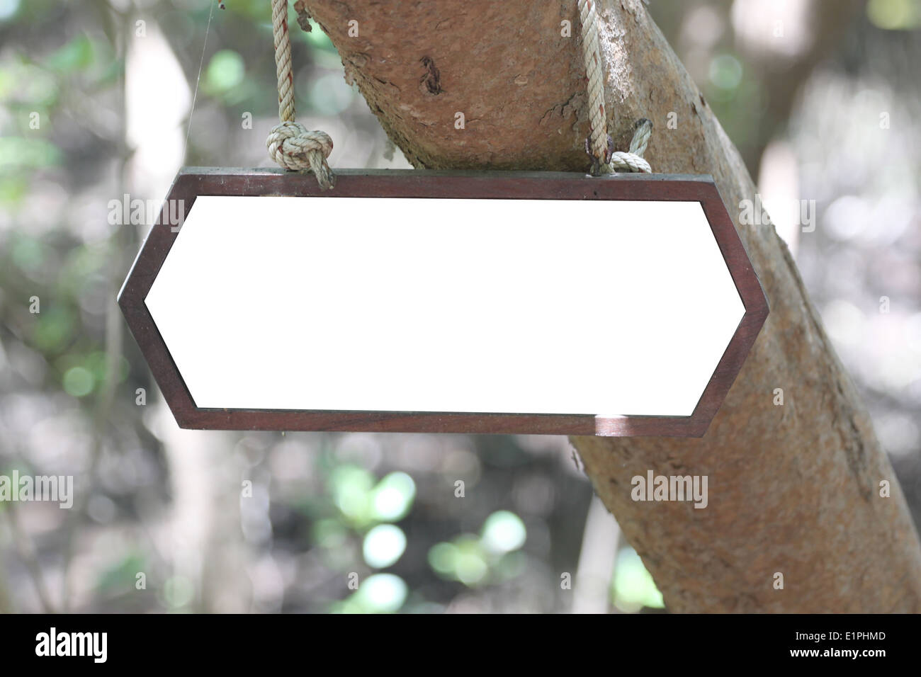 Wooden sign hanging on the mangroves Stock Photo - Alamy