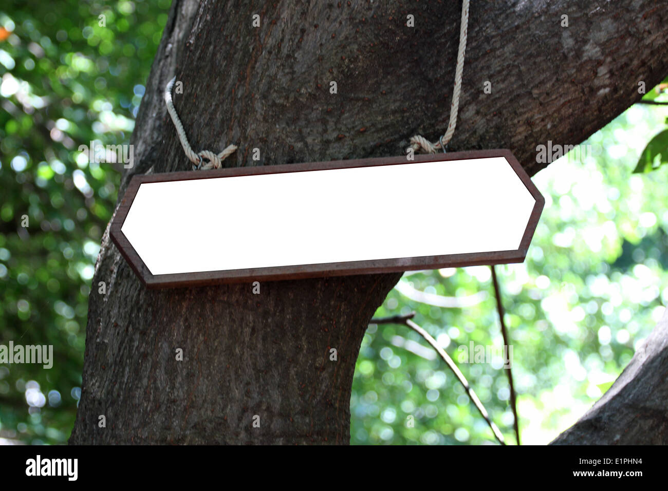 Mangroves as symbol hi-res stock photography and images - Alamy