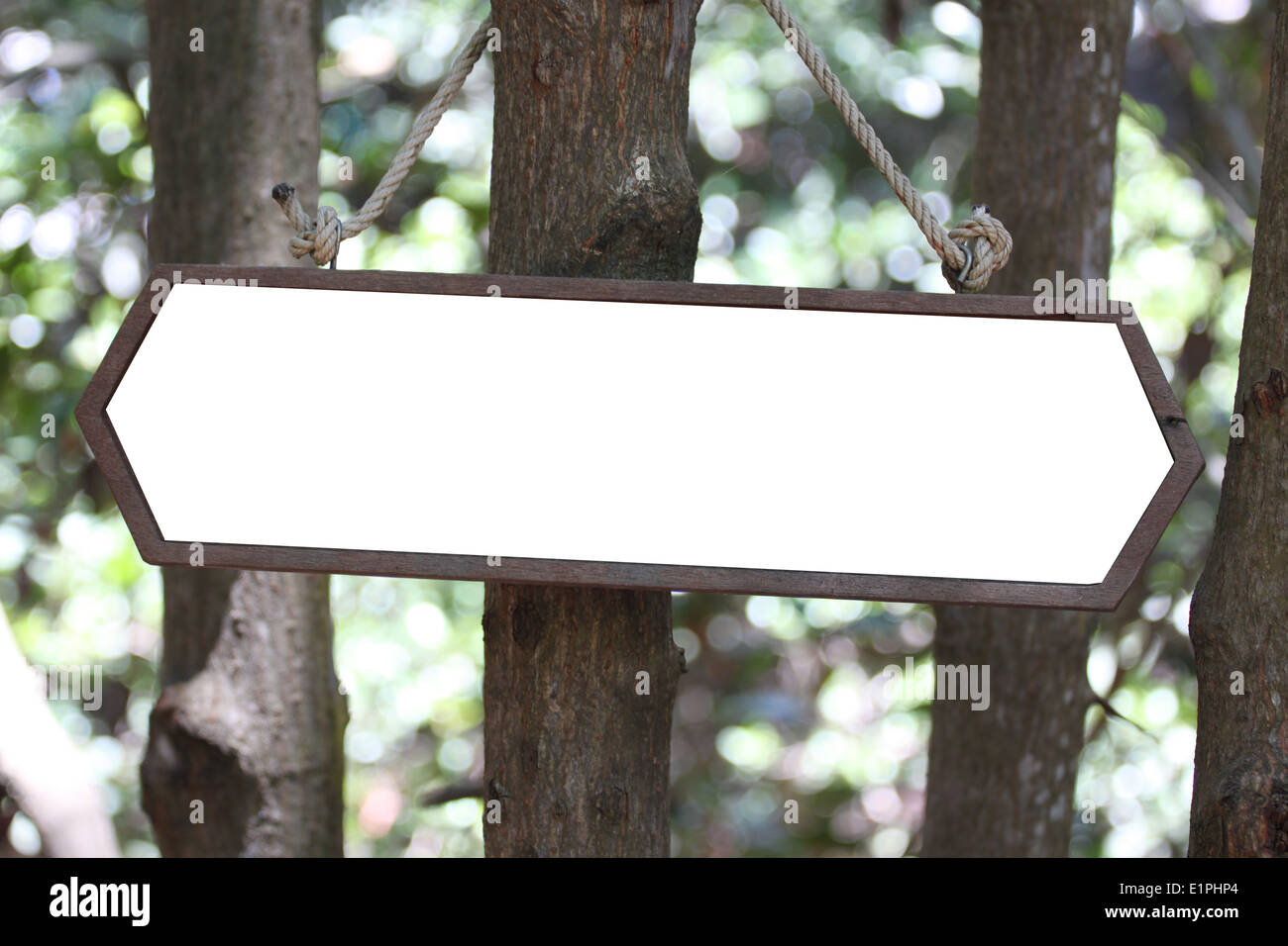 Wooden sign hanging on the mangroves Stock Photo - Alamy