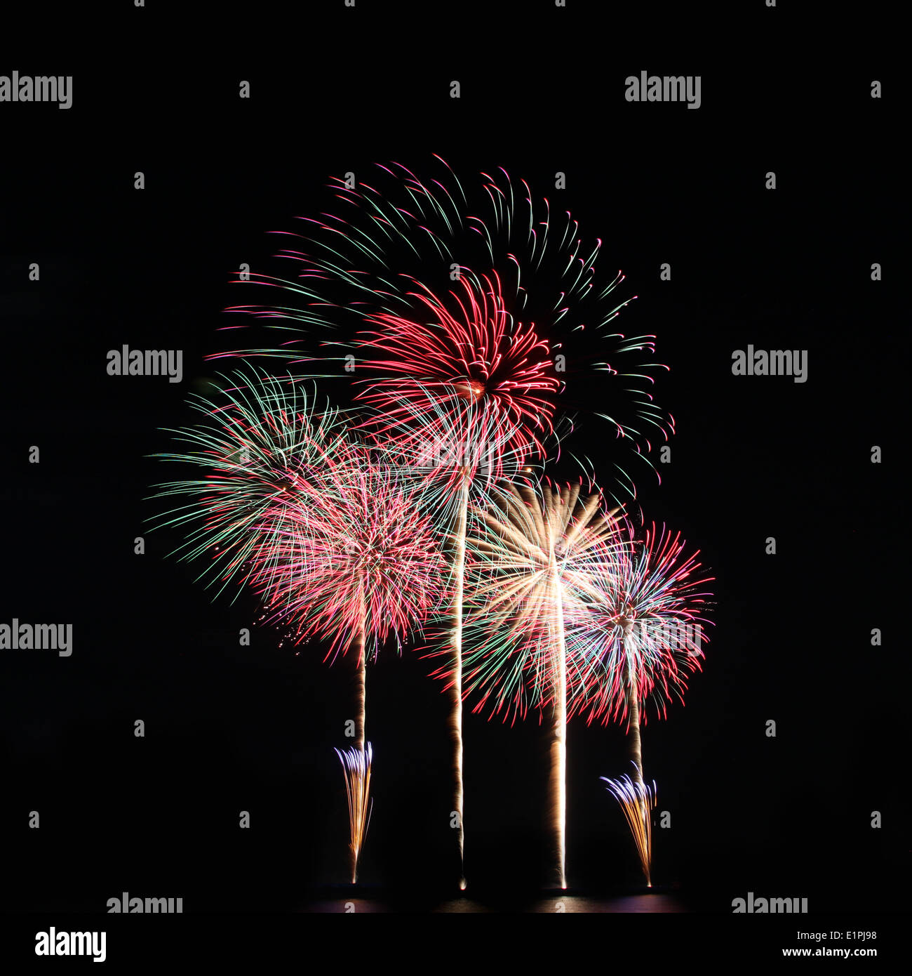 fireworks or firecracker of colorful brightly the night sky Stock Photo ...