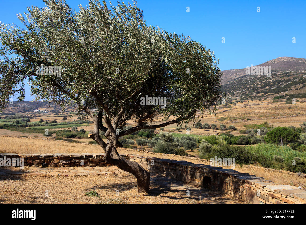 Cyclades islands dry stone wall hi-res stock photography and images - Alamy