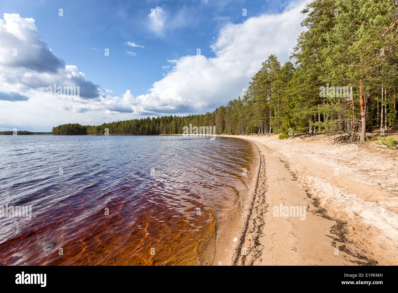 The sandy beach on lake Haukkajärvi, Helvetinjärvi national park ...