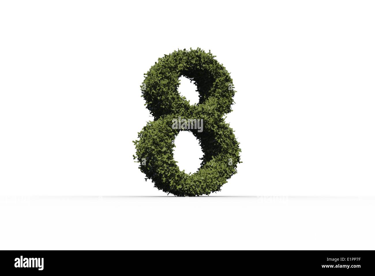 Eight leaves hi-res stock photography and images - Alamy