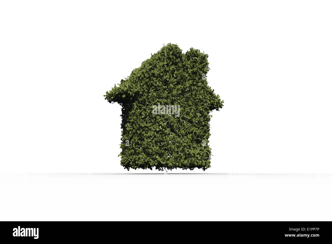 House made of leaves hi-res stock photography and images - Alamy