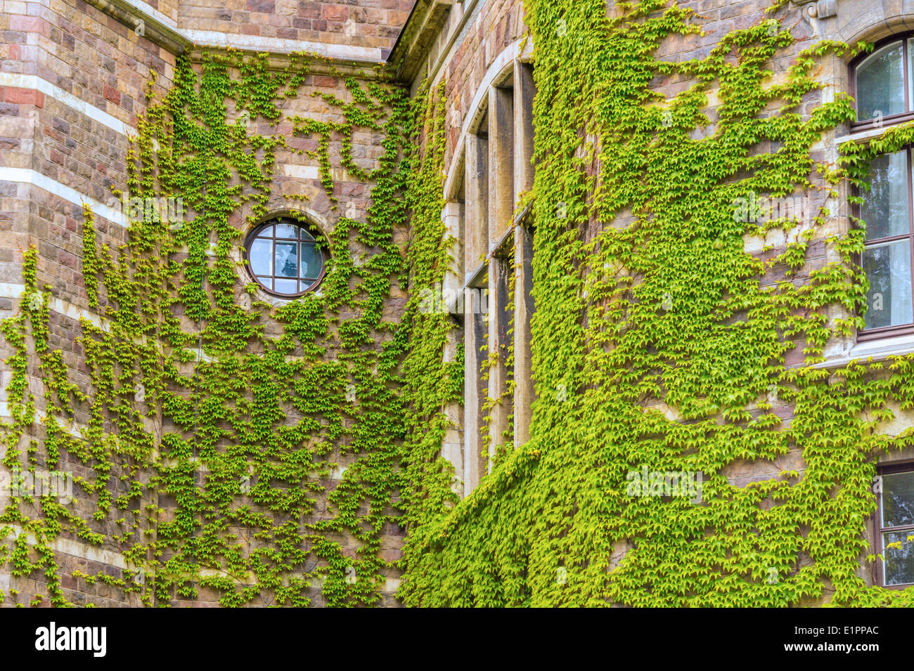 Green ecological window Stock Photo - Alamy