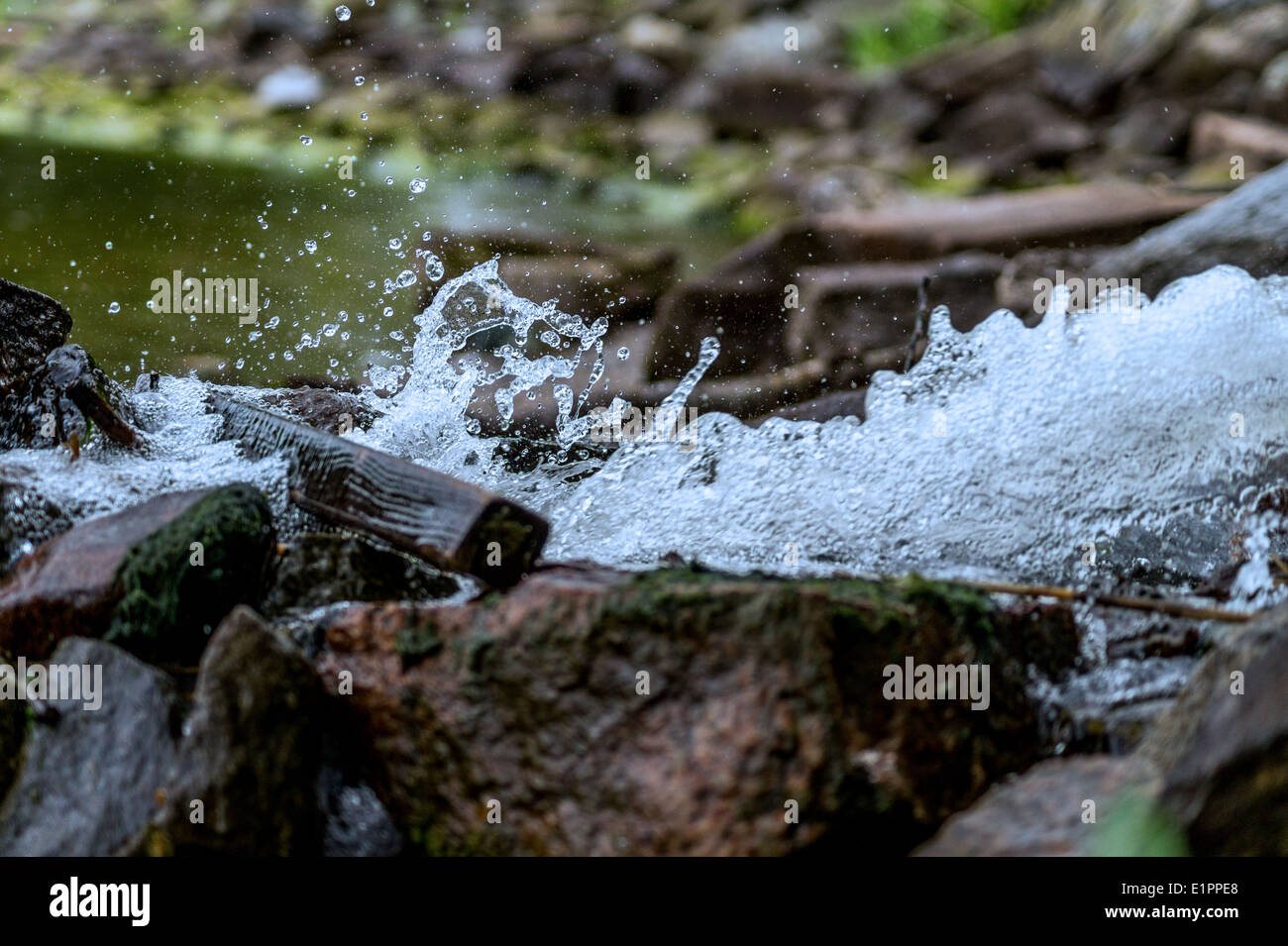 High shutter speed hi-res stock photography and images - Alamy