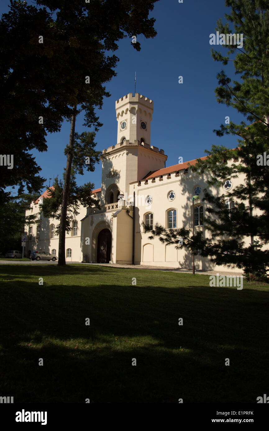 Solkolnice or Sokolnitz castle scene of fighting in the Napoleonic ...