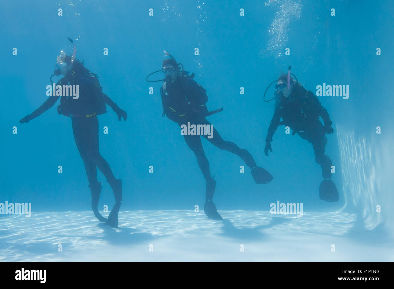 Swimming training hi-res stock photography and images - Alamy