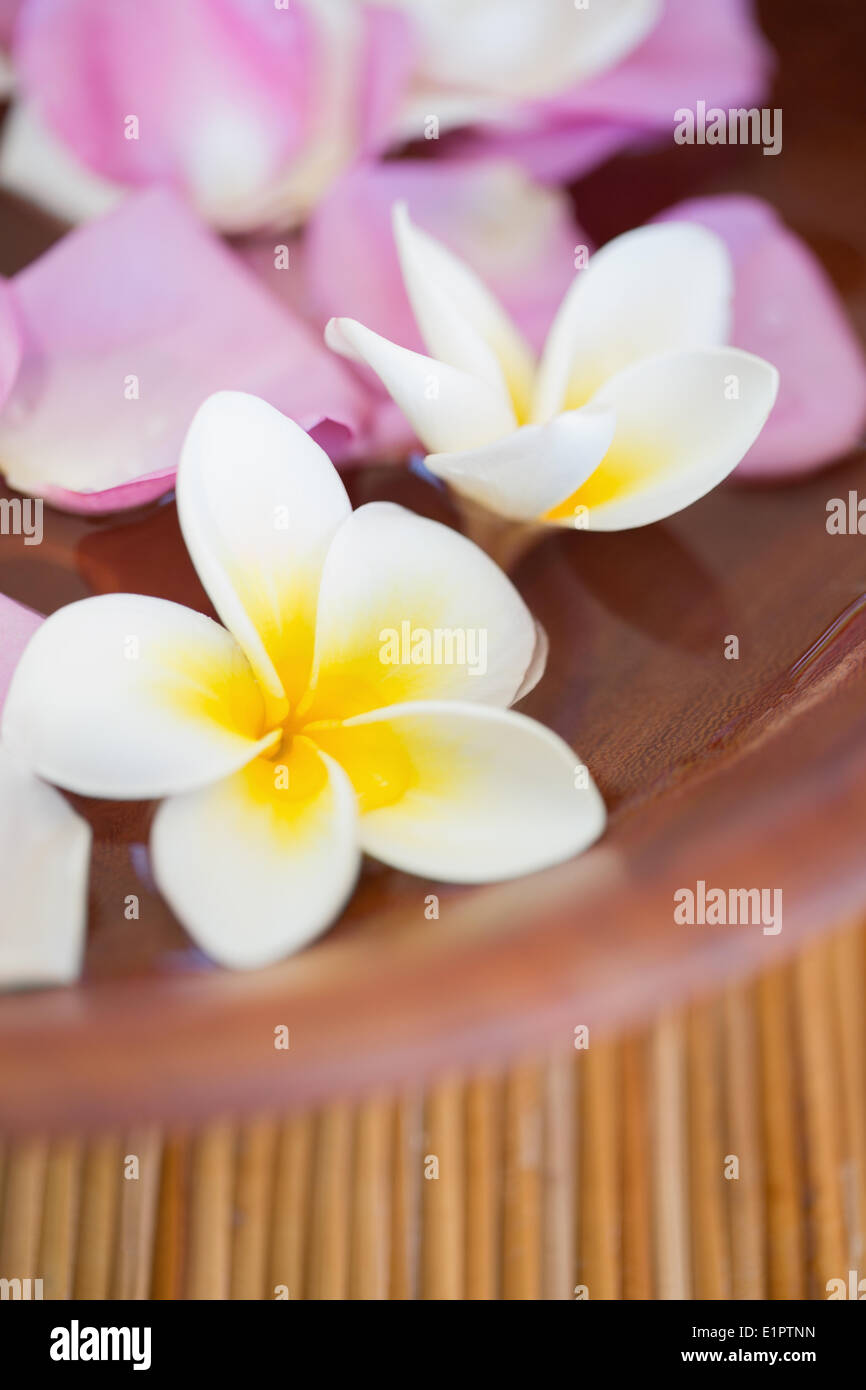 Delicate health hi-res stock photography and images - Alamy