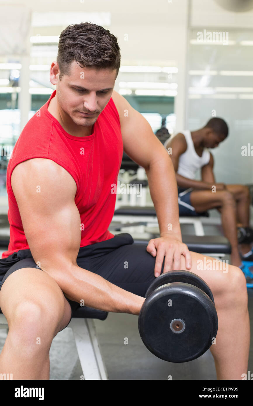 Handsome bodybuilder sitting on bench lifting dumbbell Stock Photo - Alamy