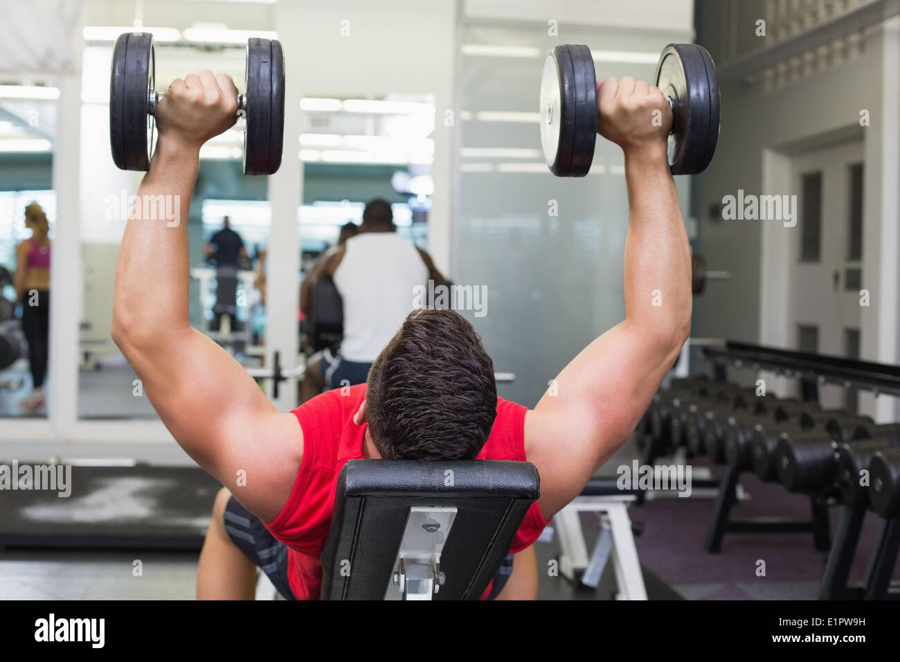 Bodybuilder lying on bench lifting dumbbells Stock Photo - Alamy