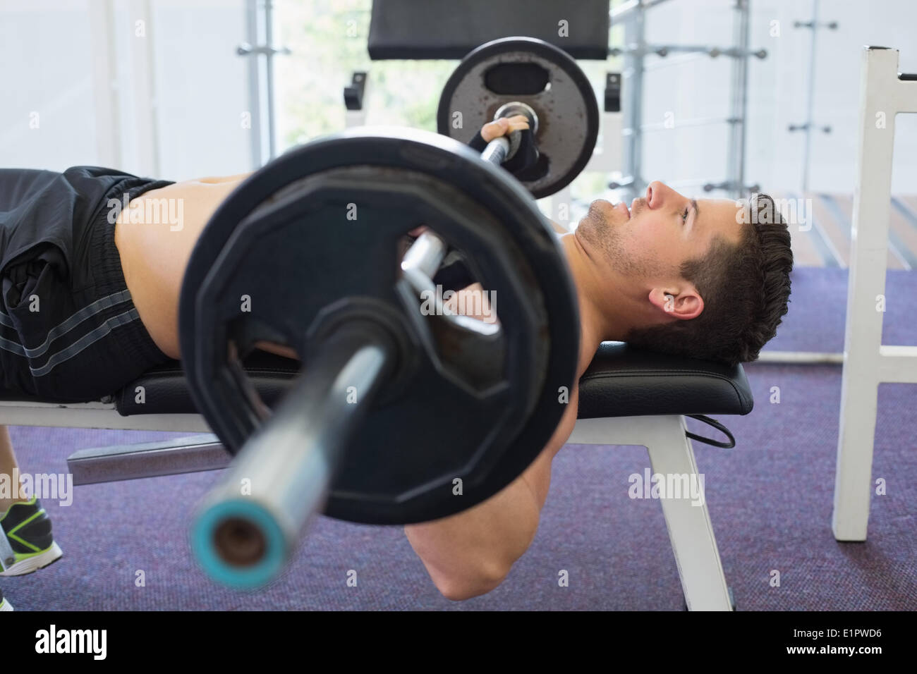Shirtless bodybuilder lifting heavy barbell weight lying on bench Stock ...