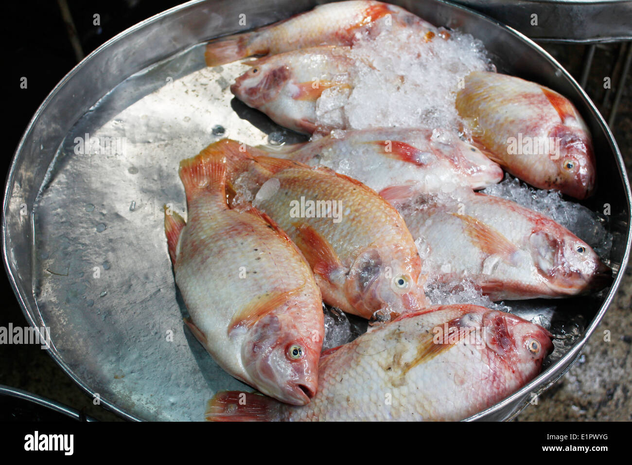 Food and fish market, city of Bangkok, Thailand, Asia Stock Photo - Alamy