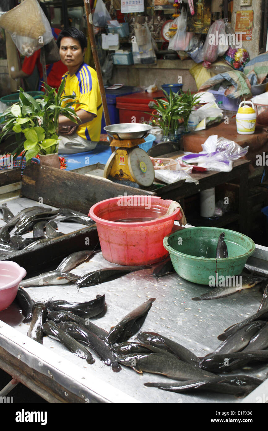 Food and fish market, city of Bangkok, Thailand, Asia Stock Photo - Alamy