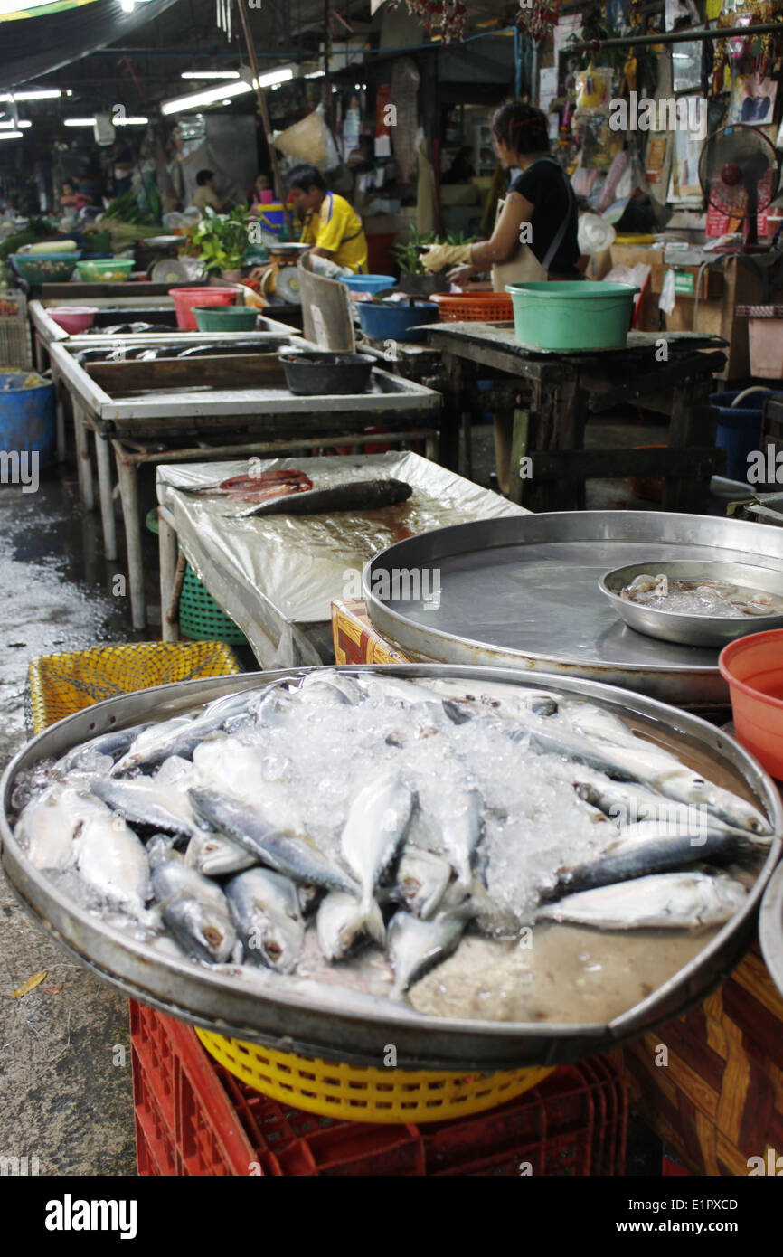 Food and fish market, city of Bangkok, Thailand, Asia Stock Photo - Alamy