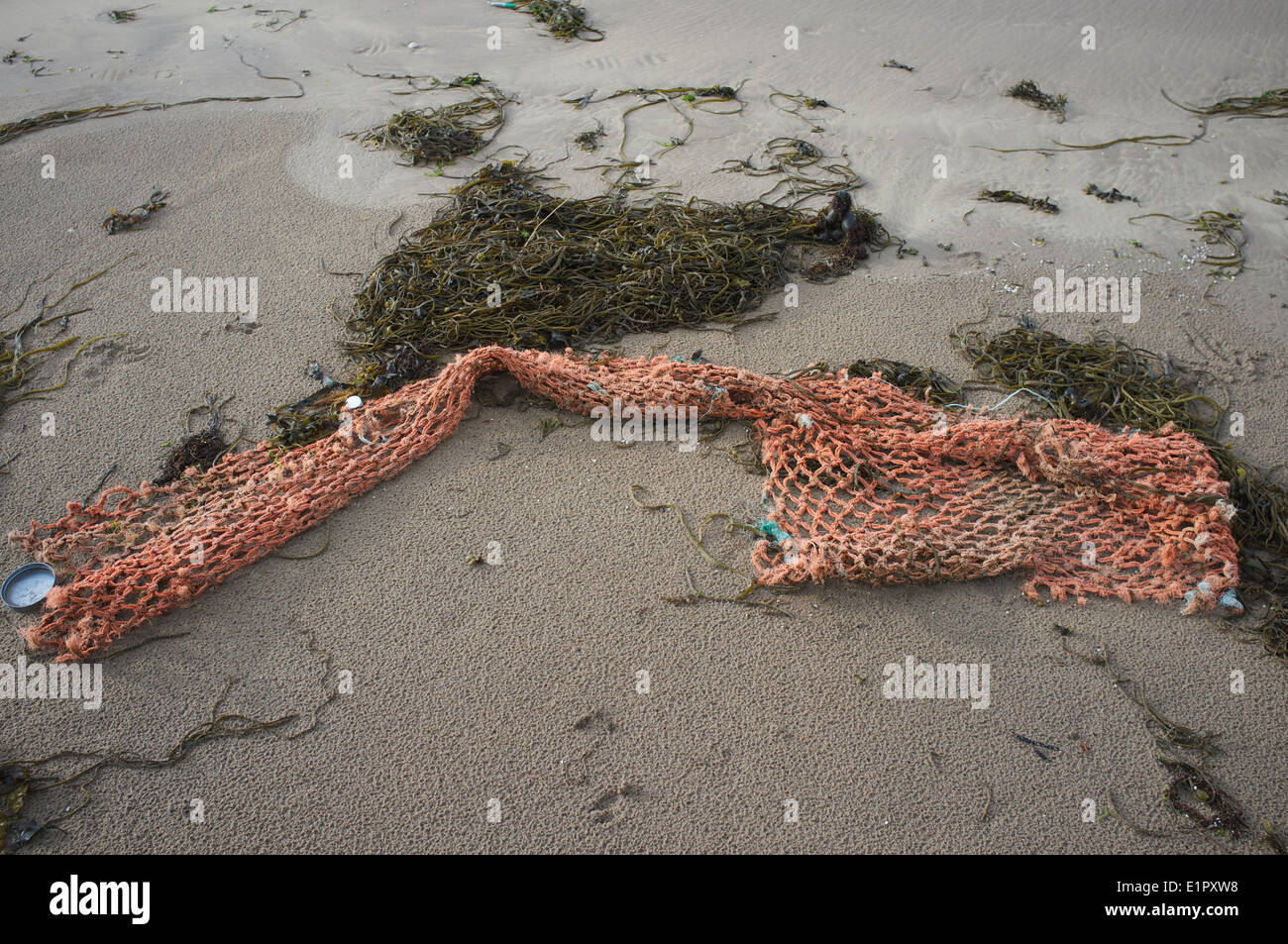 Plastic debris on sandy beach. A discarded fishing net on northern ...