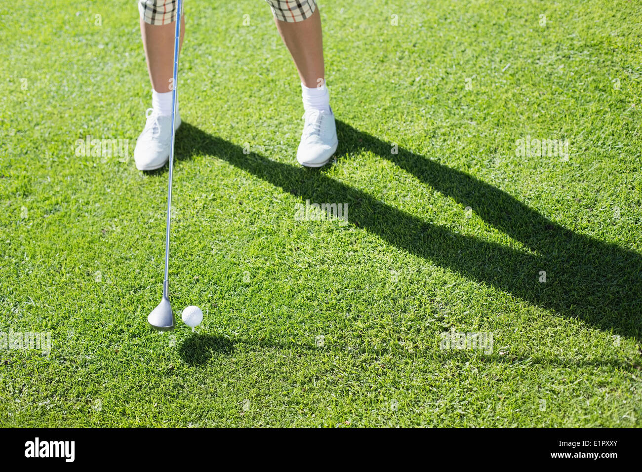 Lady day hi-res stock photography and images - Alamy