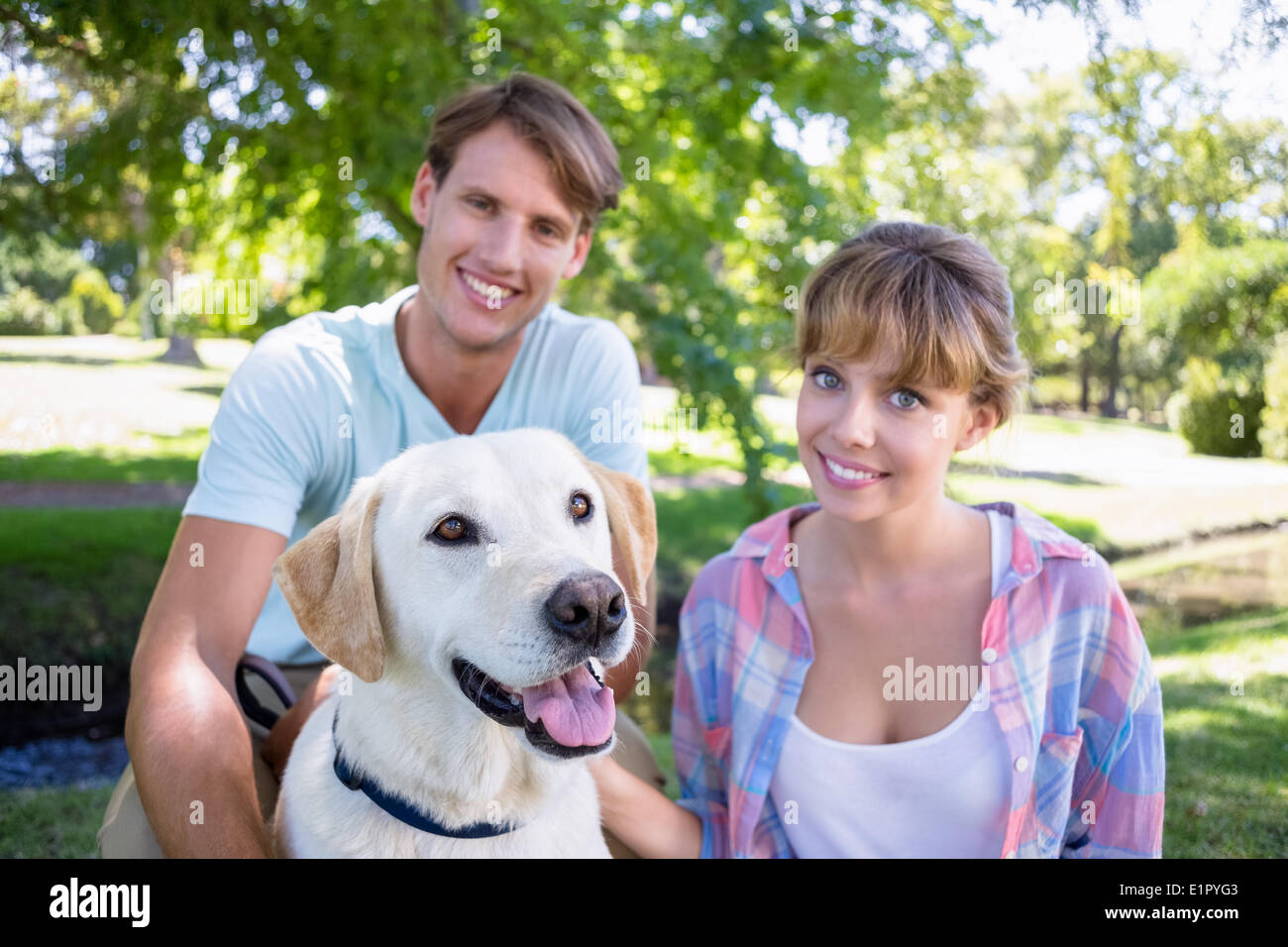 Cute couple with their labrador dog in the park Stock Photo - Alamy