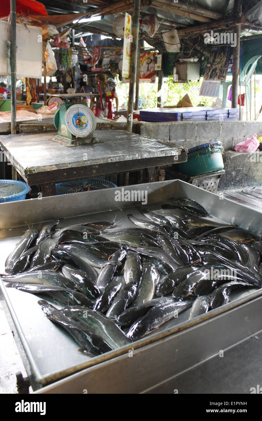 Food and fish market, city of Bangkok, Thailand, Asia Stock Photo - Alamy