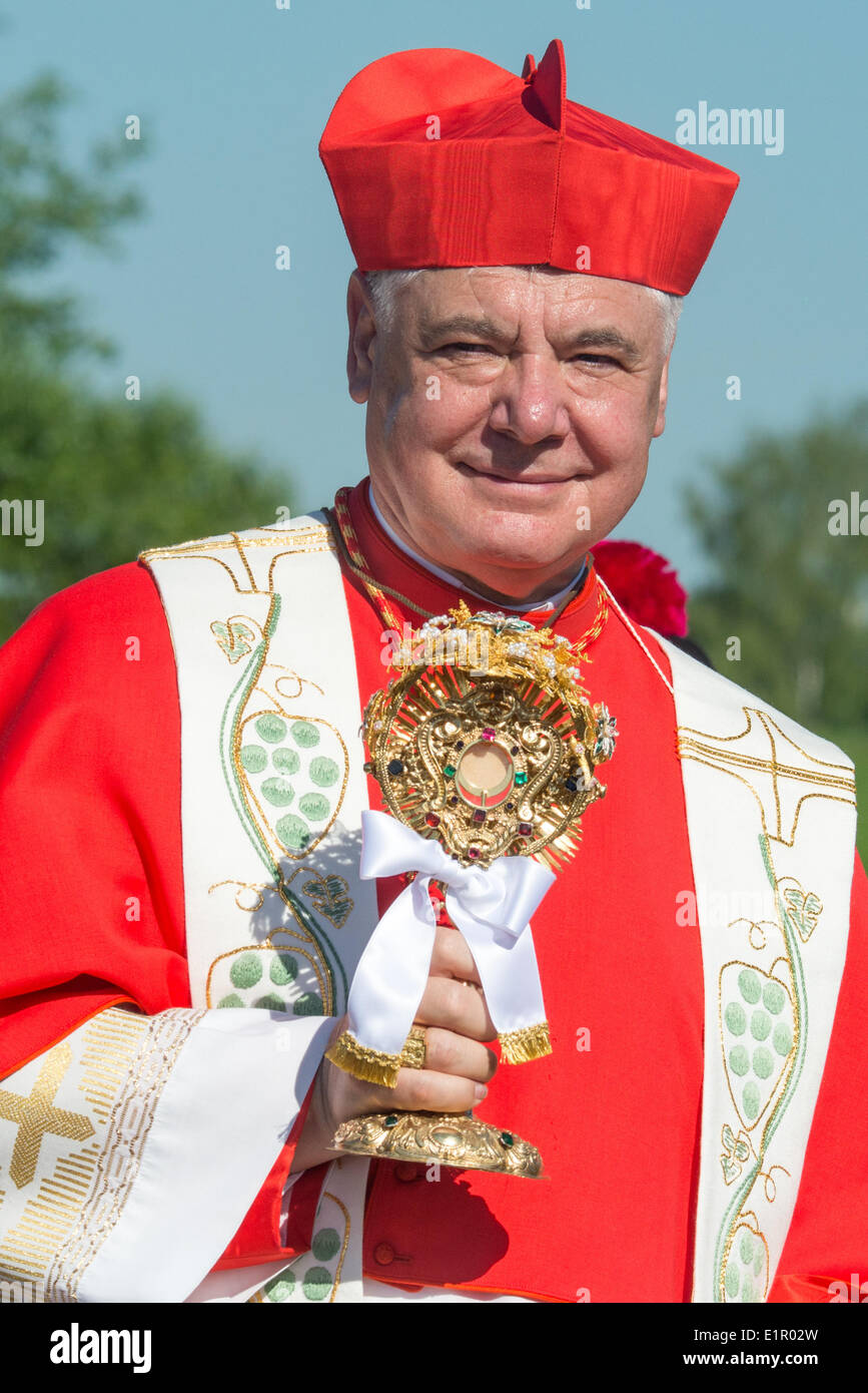 Bad Koetzting, Germany. 09th June, 2014. Cardinal Gerhard Ludwig ...