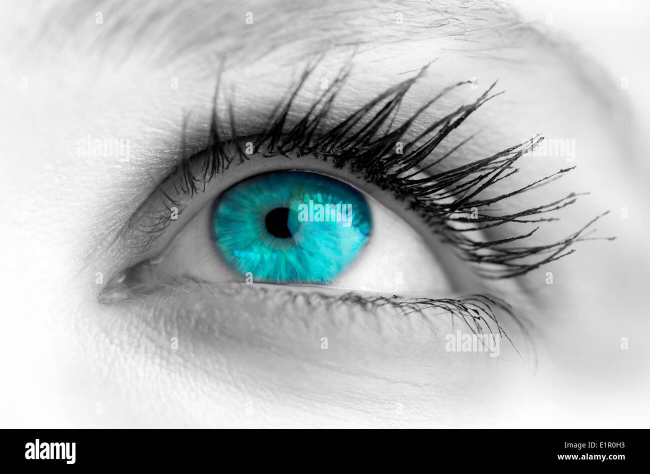 Grey blue colour hi-res stock photography and images - Alamy