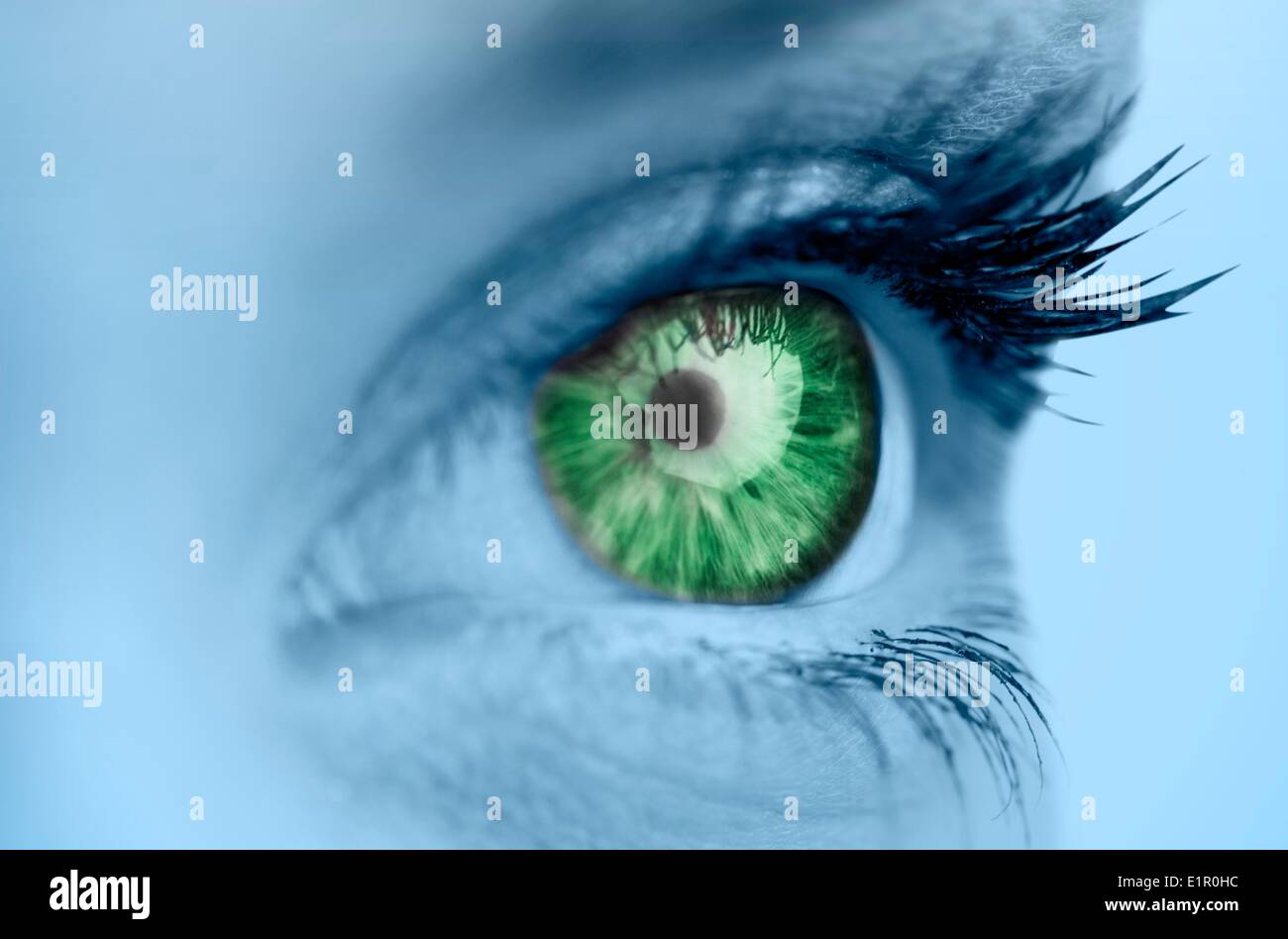 Computer generated face hi-res stock photography and images - Alamy