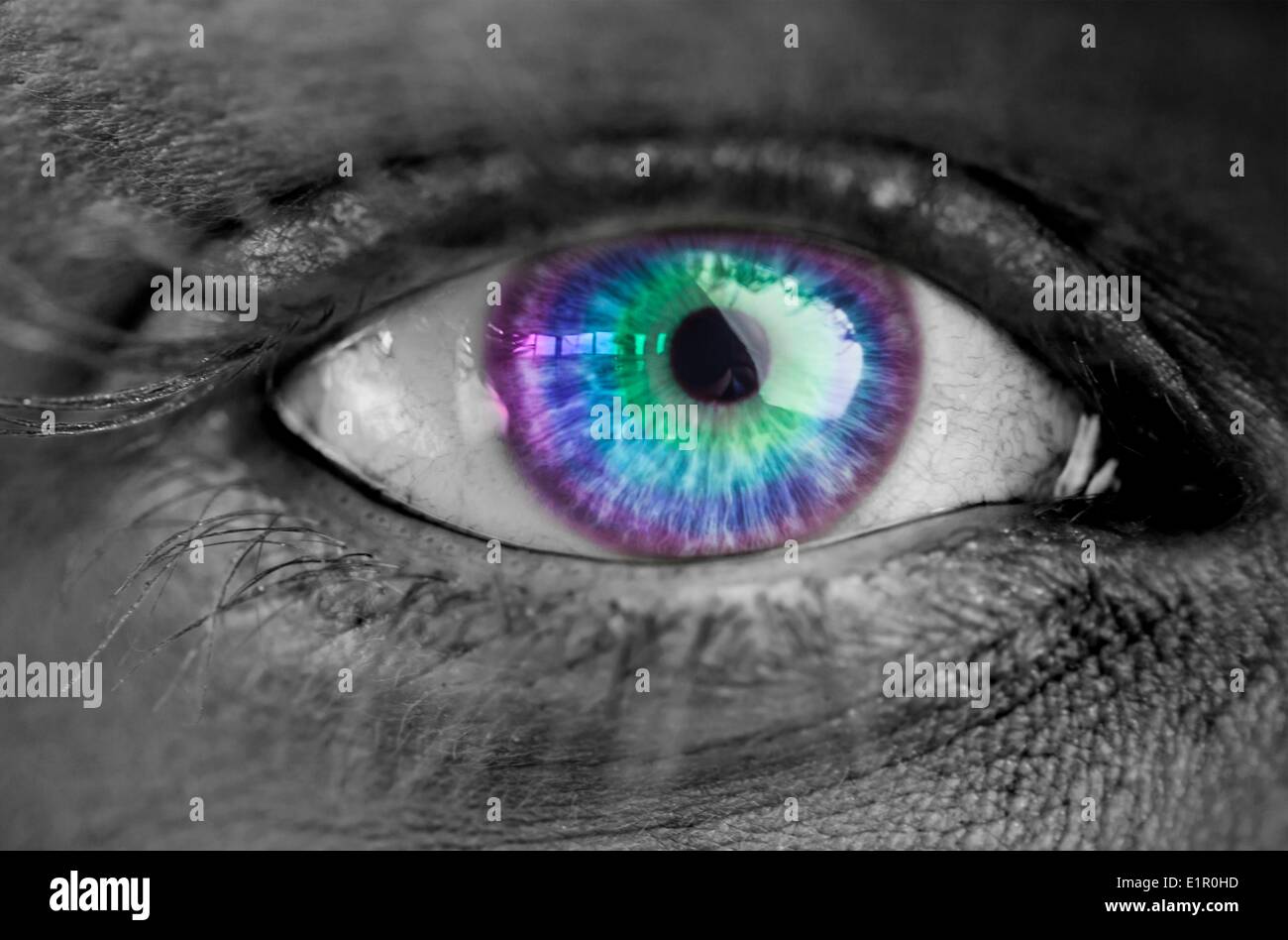 Multi colored eye on grey face Stock Photo - Alamy