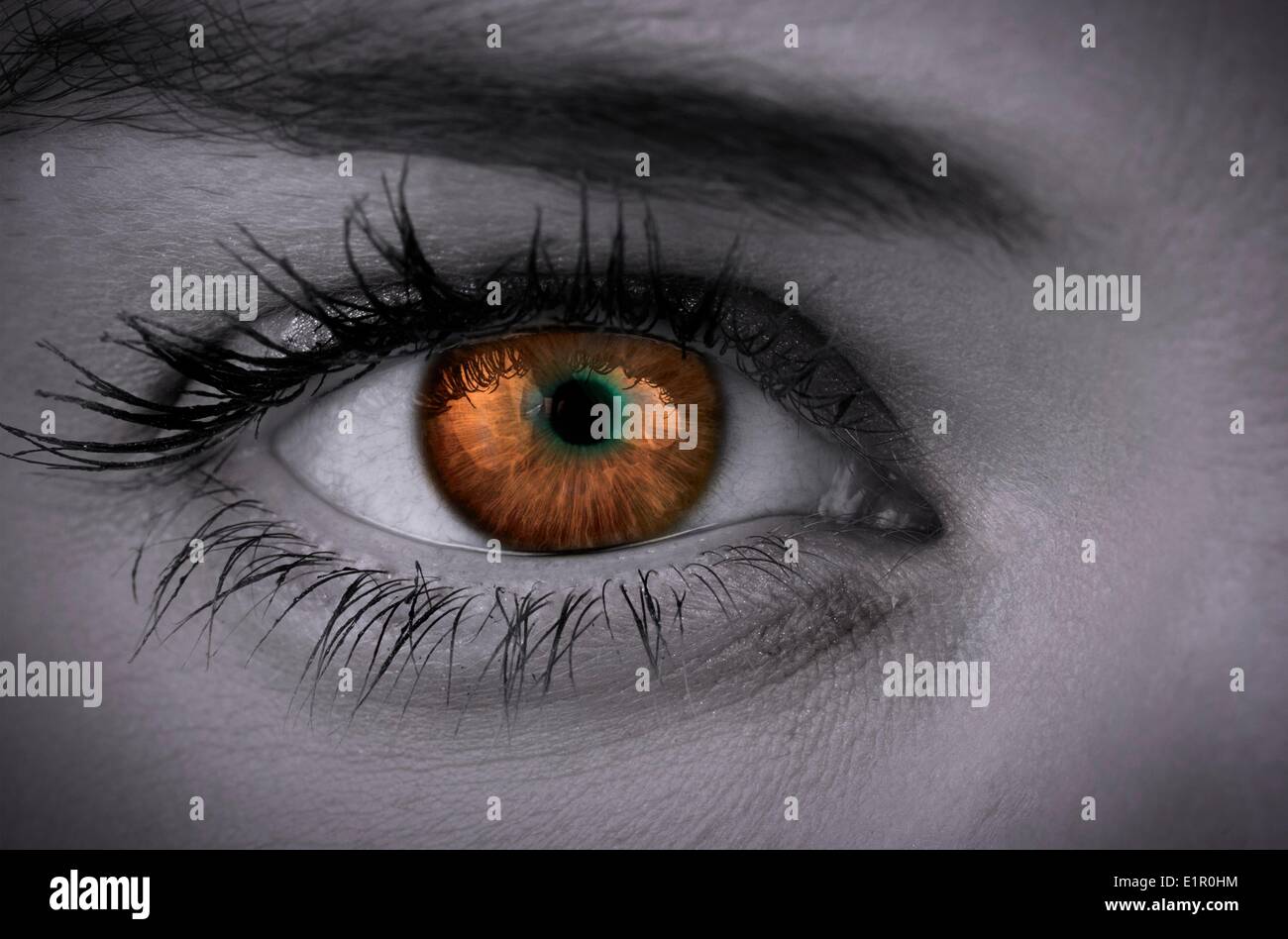 Orange eye on female face Stock Photo - Alamy