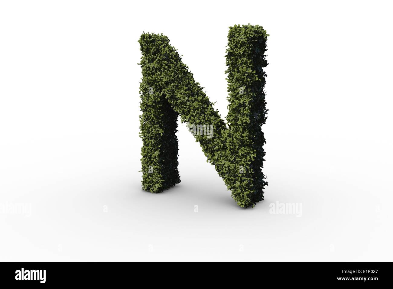 Letter n made of leaves Stock Photo - Alamy