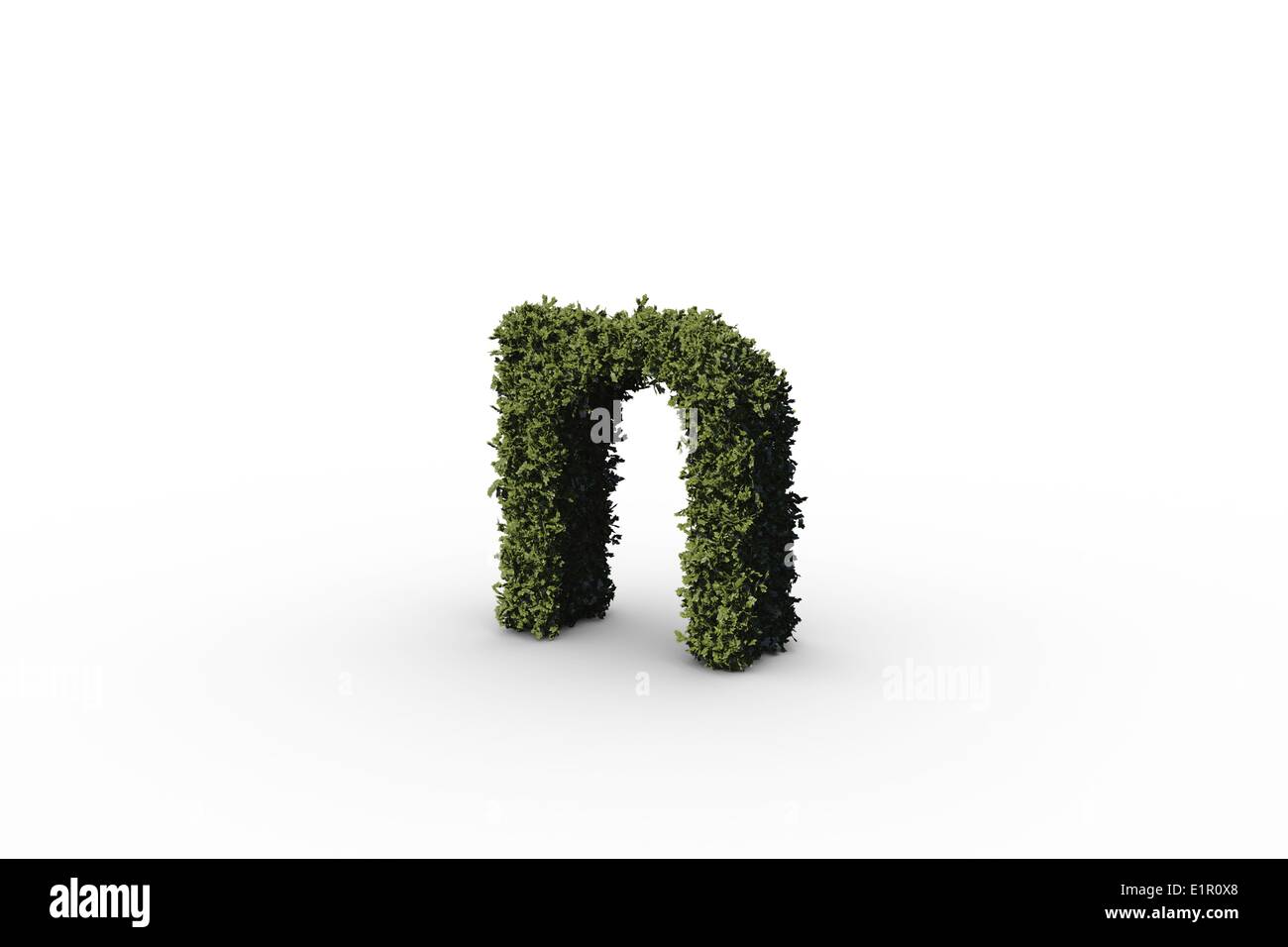 Letter n made of leaves Stock Photo - Alamy
