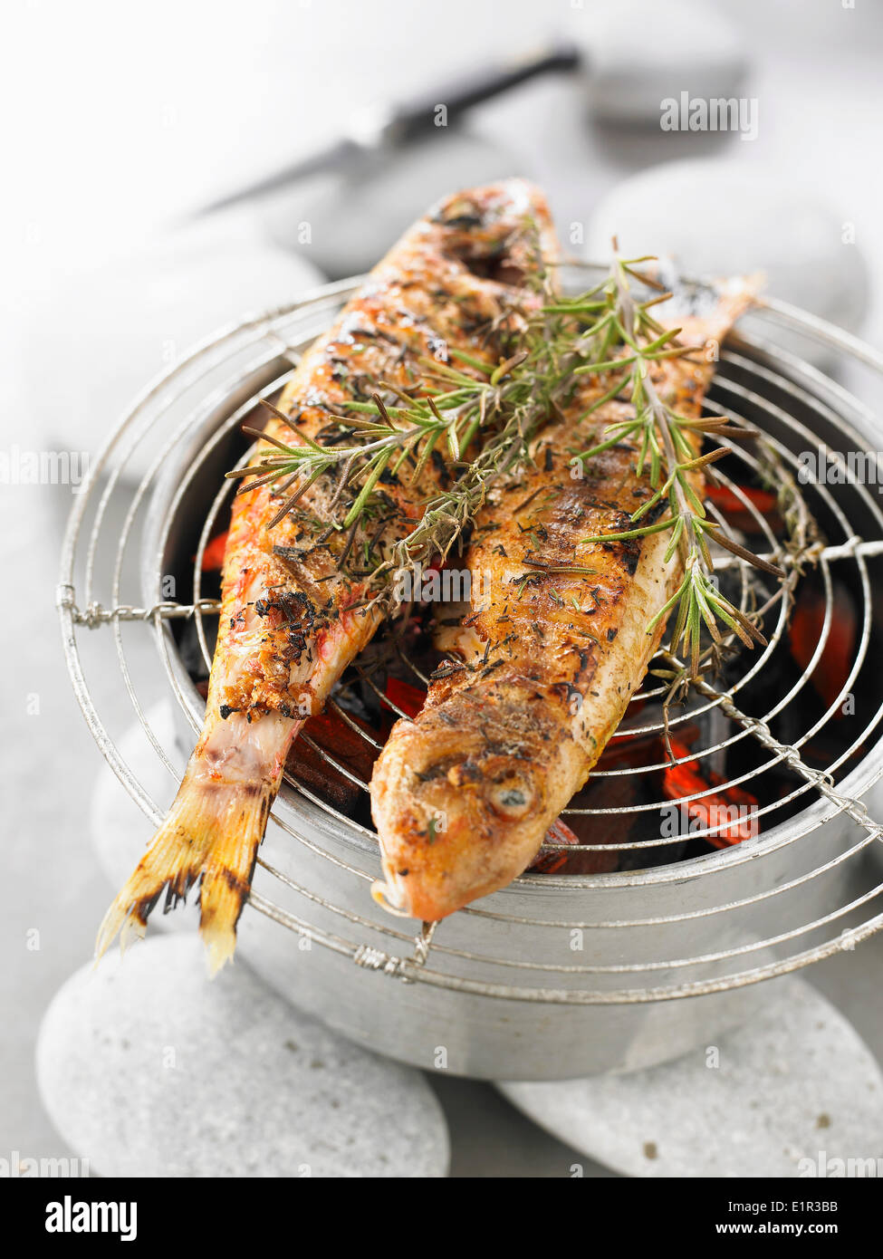 Mullets hi-res stock photography and images - Alamy