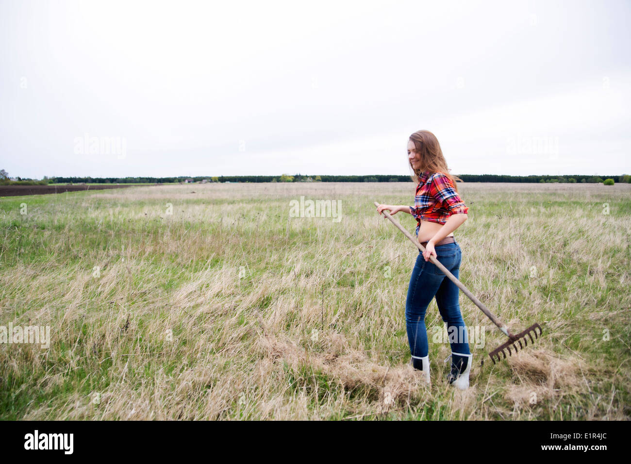 Rake with dry hi-res stock photography and images - Alamy