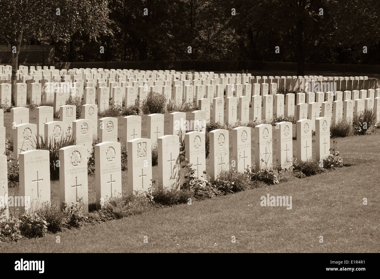 World war 1 dead hi-res stock photography and images - Alamy