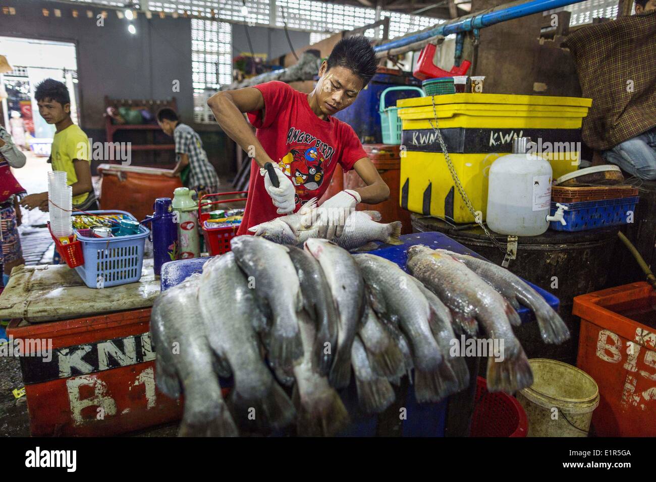 Yangon, Yangon Region, Myanmar. 9th June, 2014. A worker guts and fillets fish in the San Pya ...