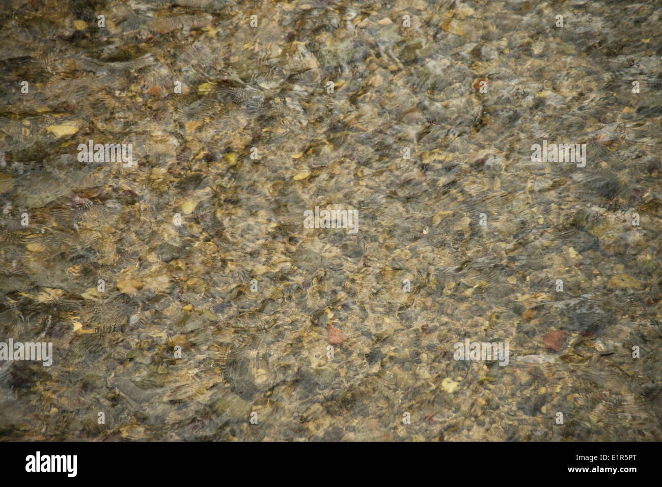 Shallow stream with pebble bed Stock Photo - Alamy