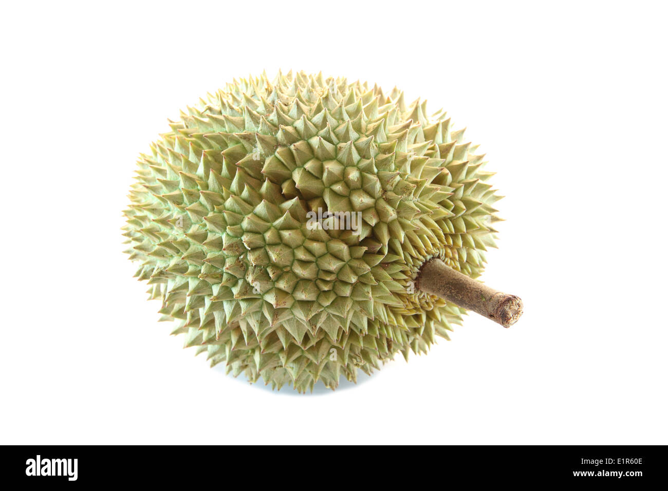 Durian in thailand sweet fruit hi-res stock photography and images - Alamy