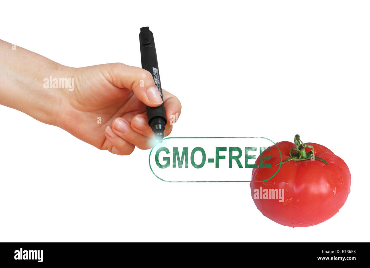 Tomato gmo-free stamp with hand end pen isolated on white Stock Photo ...