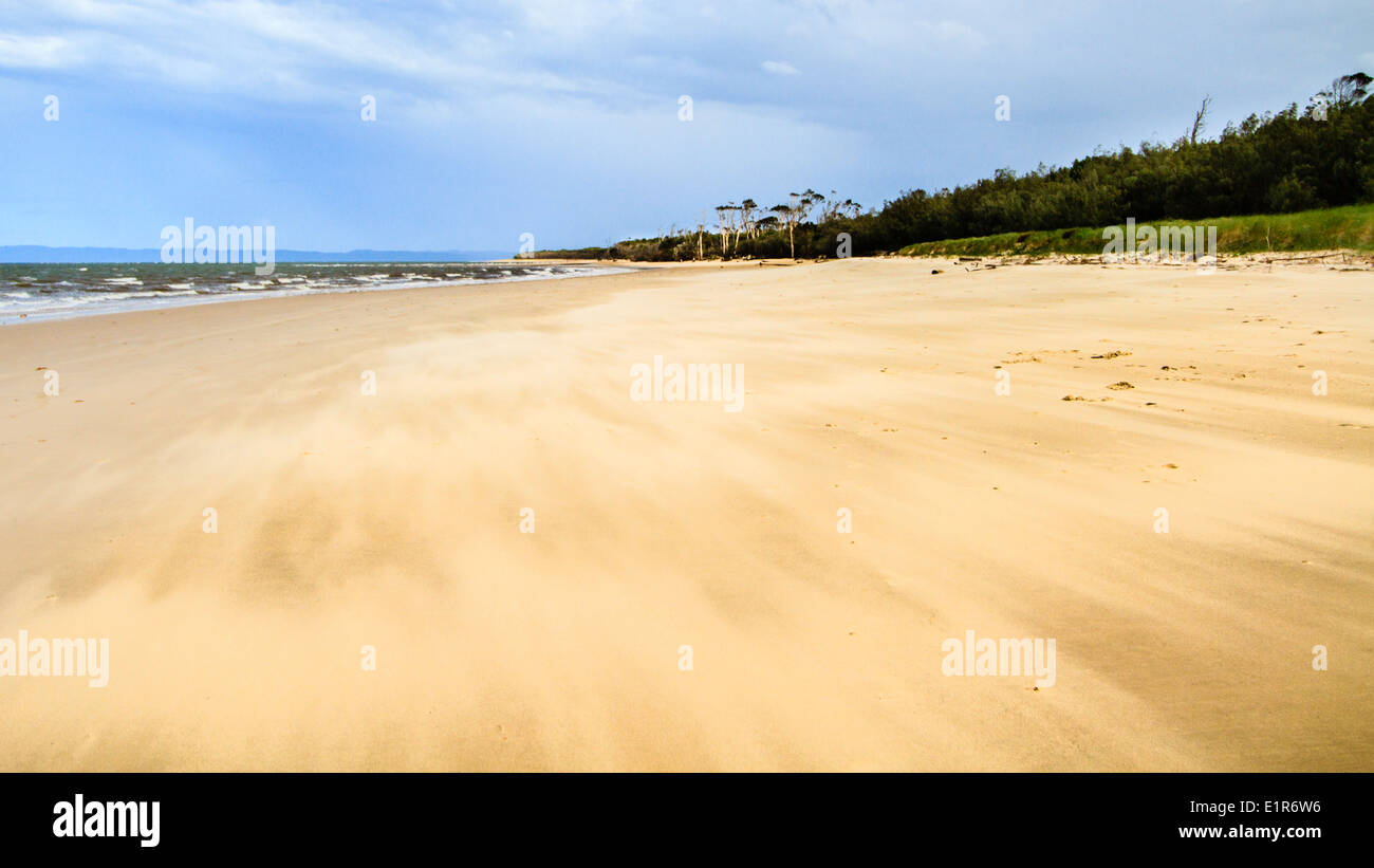 Windswept beach hi-res stock photography and images - Alamy