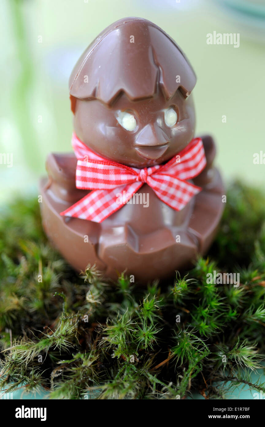 Easter chocolate chick Stock Photo - Alamy