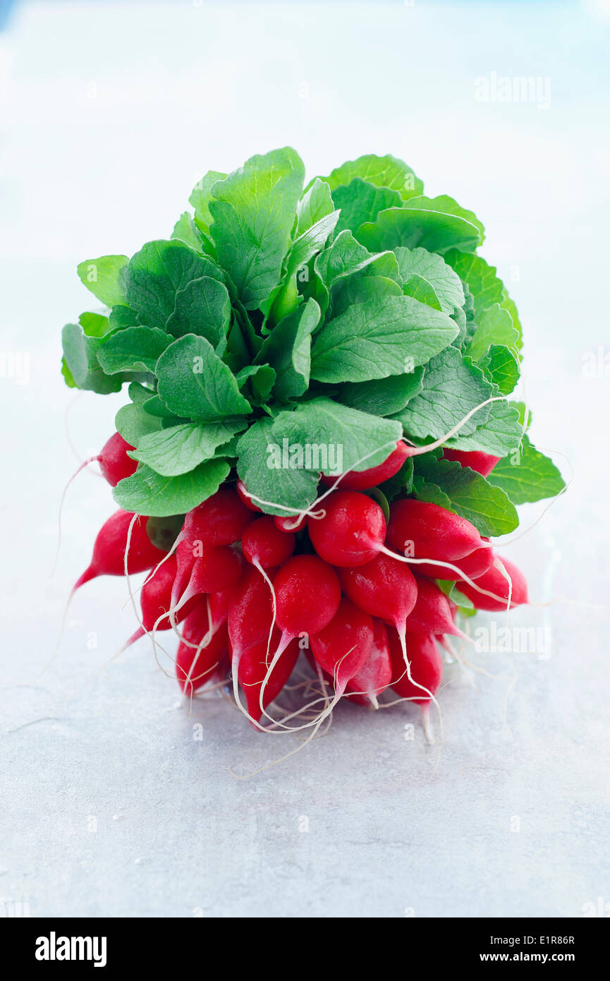 Radishes hi-res stock photography and images - Alamy